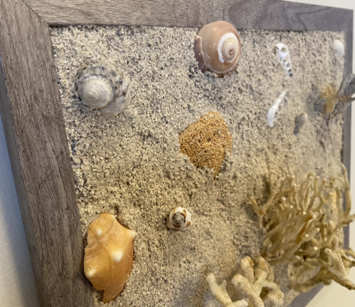 Coral Reef Picture Frame Art - Brian Prom Blog